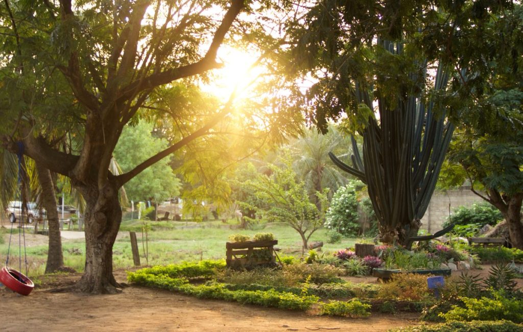 The 6 Best Accra Parks and Gardens (with Photos) | Noanyi
